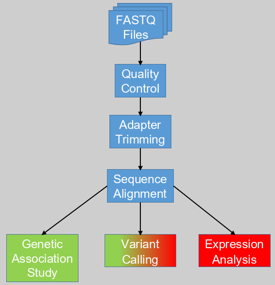 A Basic NGS Data Analysis Workflow | Yannick Bijl A Basic NGS Data Analysis Workflow | Yannick Bijl